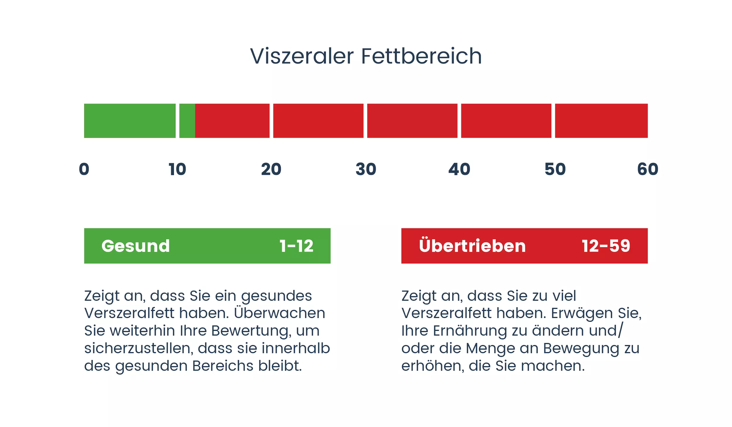 Viszeralfett: warum ist es wichtig | Tanita | TANITA Europe